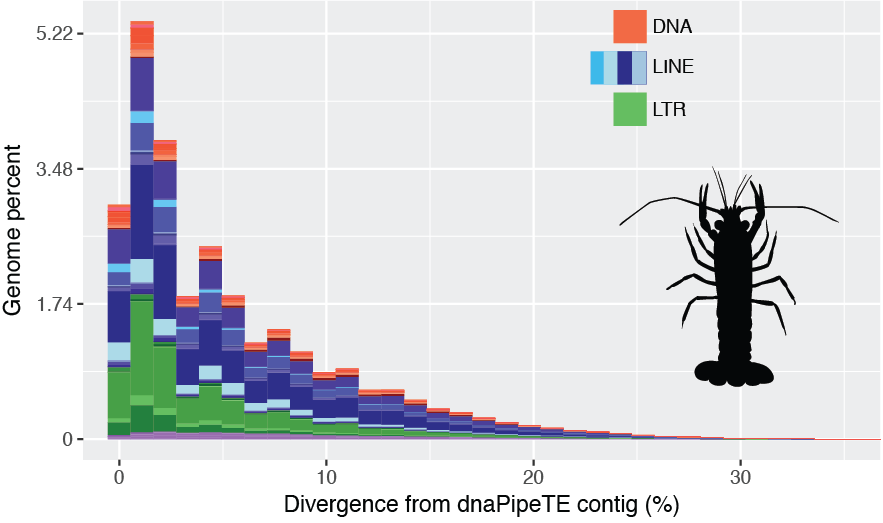 Underestimated kmer-based genome size estimate: supperrepetitive sequences | Peculiar Genomic ...